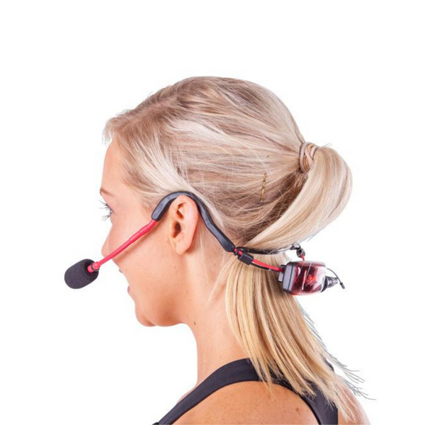 Mini Stack System with 10 Inch Speakers - Fitness Audio Shop